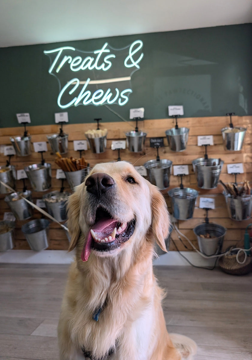 10 Paws-itive Reasons To Choose Natural Dog Treats (and Why Pablo's Pa ...