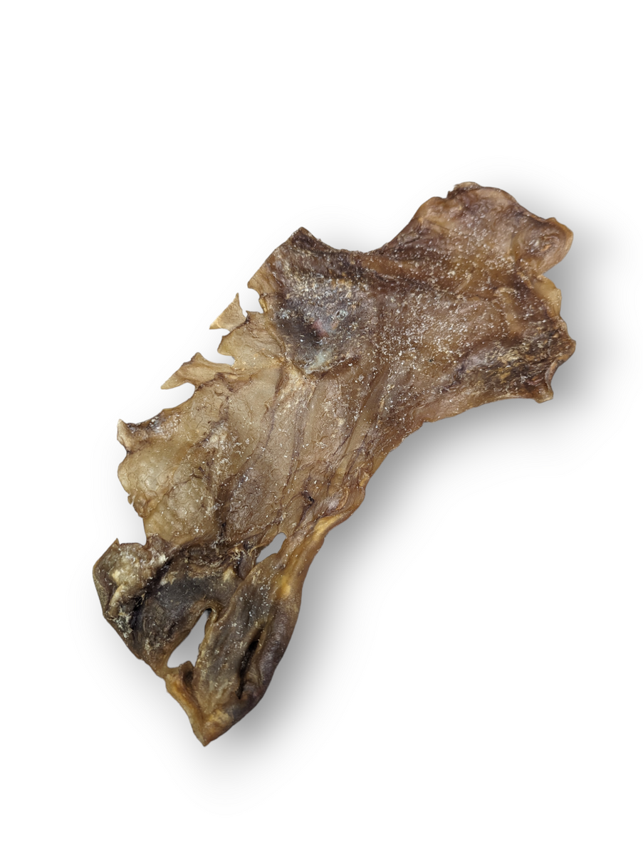 Camel Skin Plates – Pablo's Pawfectionary