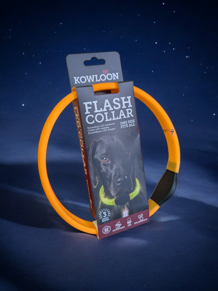 Kowloon Flash Collar – Pablo's Pawfectionary