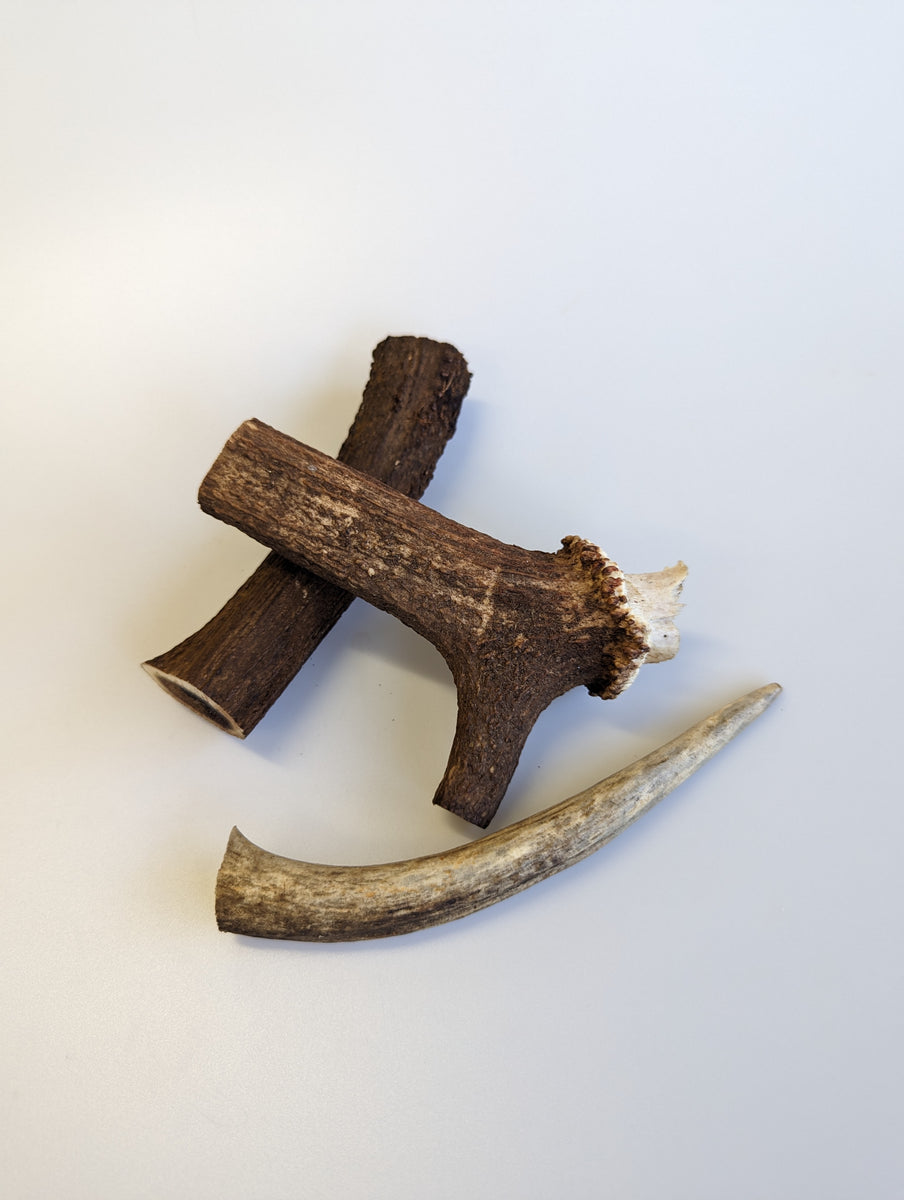 Antlers – Pablo's Pawfectionary