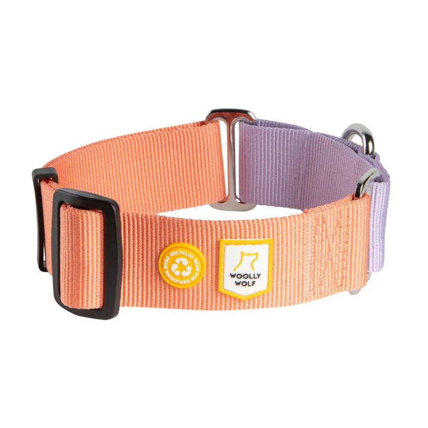 Woolly Wolf - Color Block Martingale Collar Salmon Pink Mix – Pablo's ...